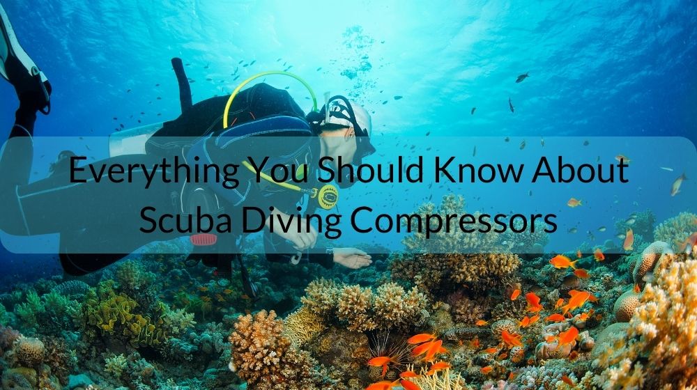 Everything You Should Know About Scuba Diving Compressors - Maisi