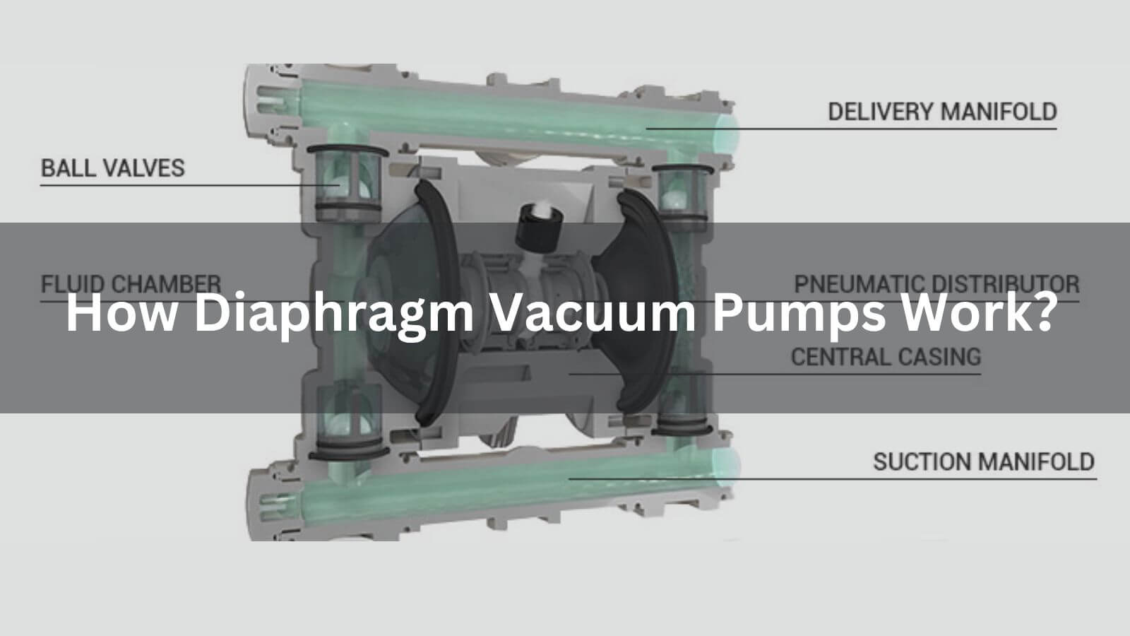 How Diaphragm Vacuum Pumps Work？ - Maisi