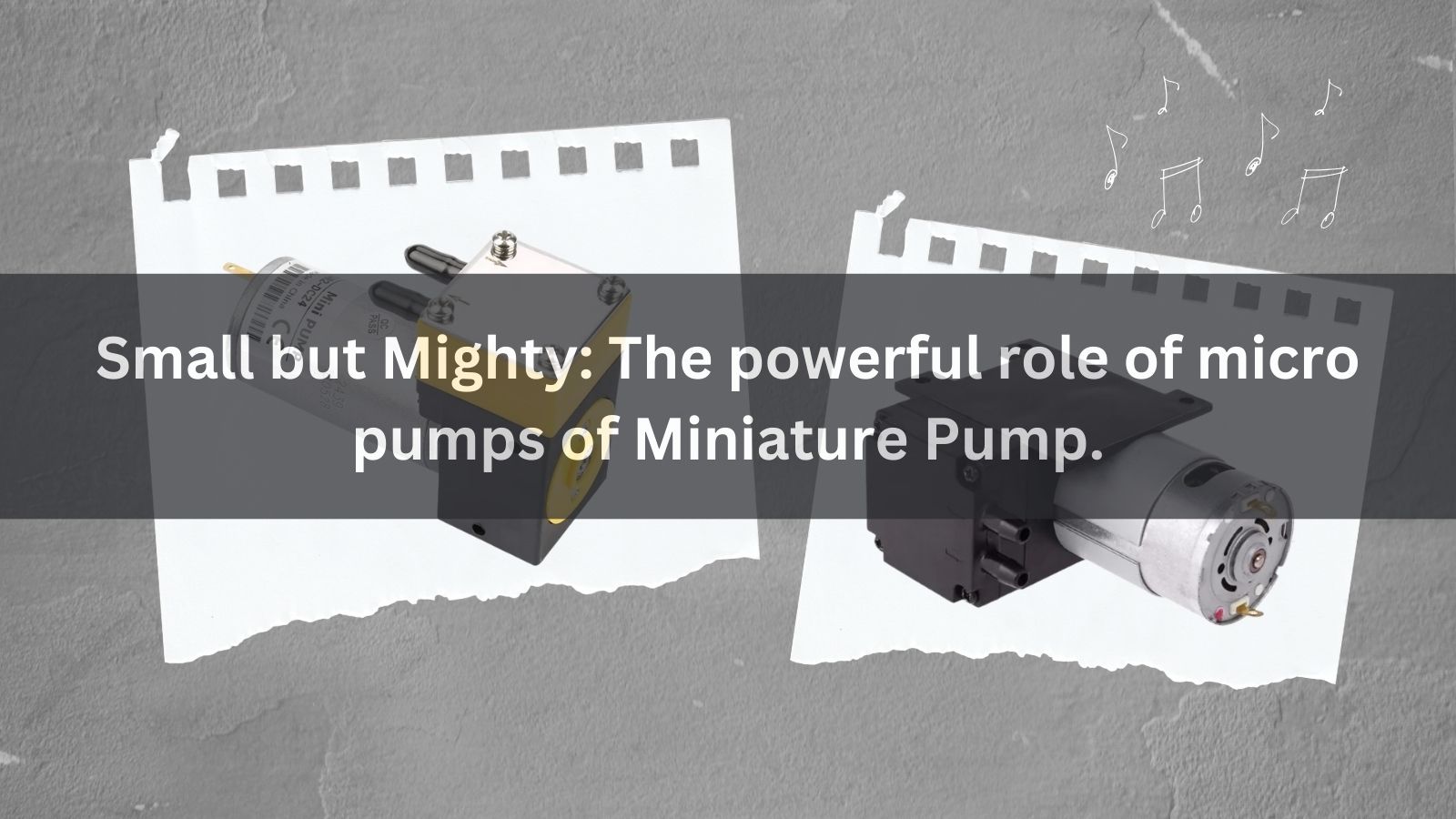Small but Mighty: The powerful role of micro pumps of Miniature Pump. - Maisi